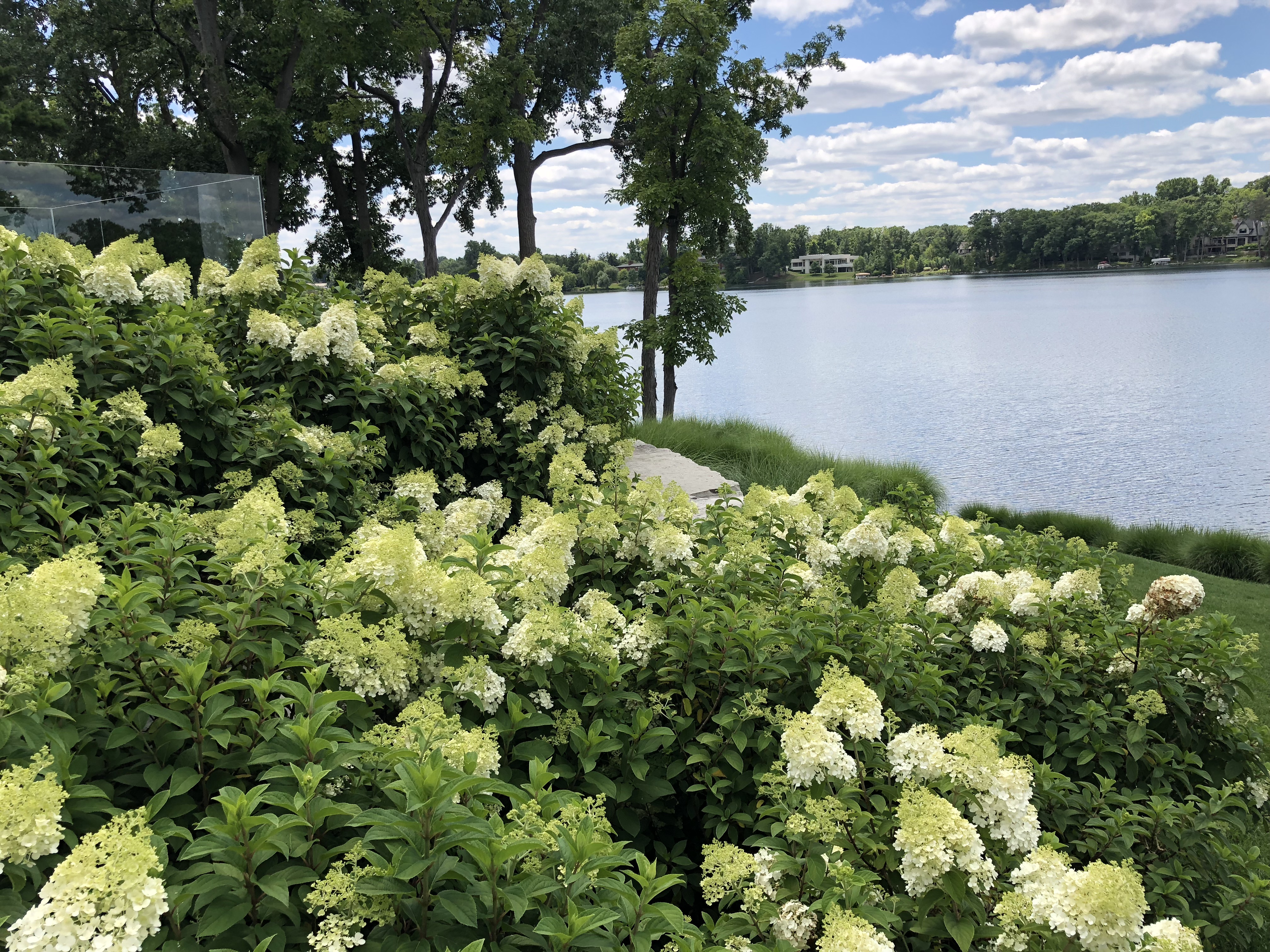 Contemporary Landscape Park : Deborah Silver & Co.
