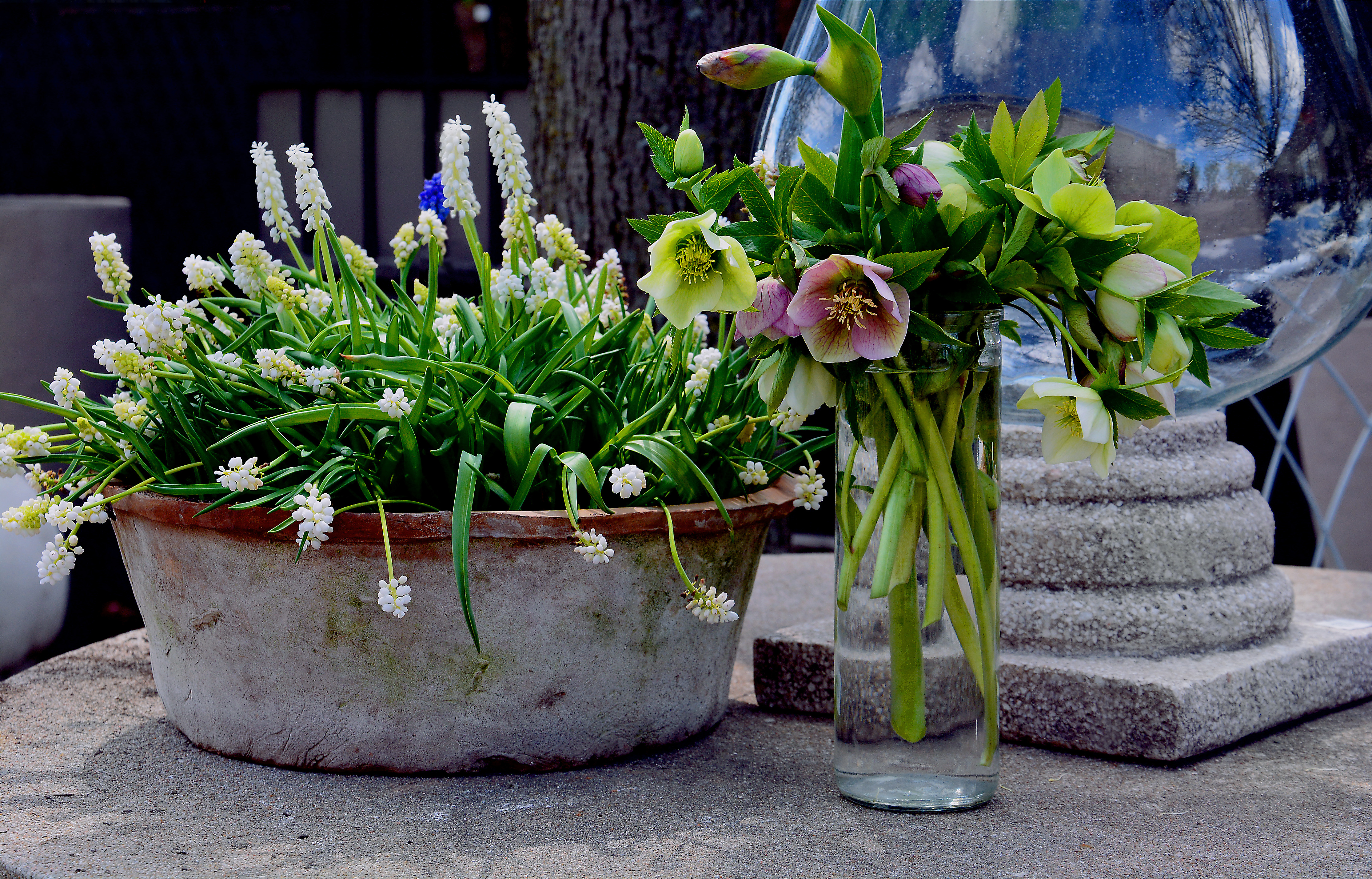 Spring Container Plantings : Deborah Silver & Co.