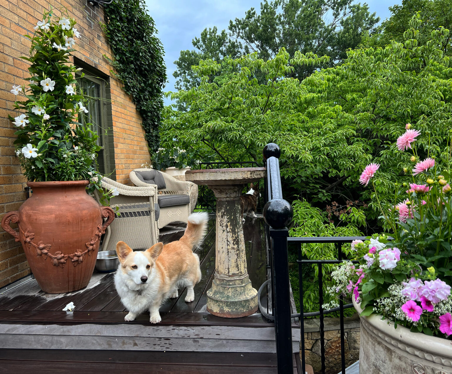 Posts | Deborah Silver & Co.