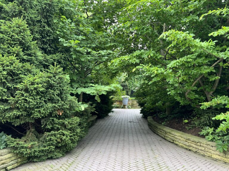 Landscape Design | Deborah Silver & Co.