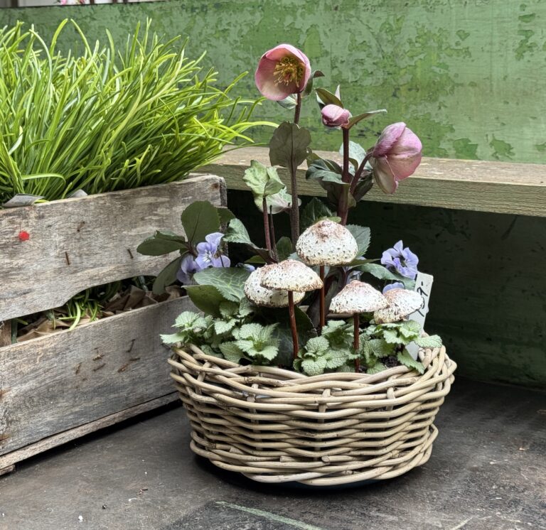 Detroit Garden Works | Deborah Silver & Co.